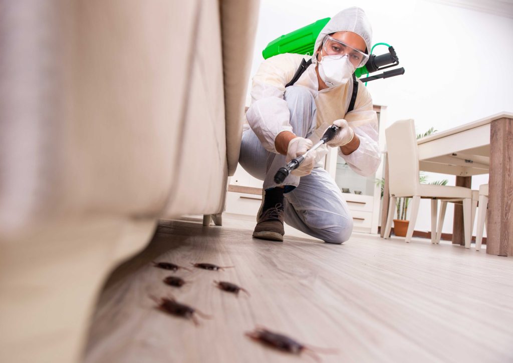 Get Reliable Pest Control Services in Columbus, OH Today!